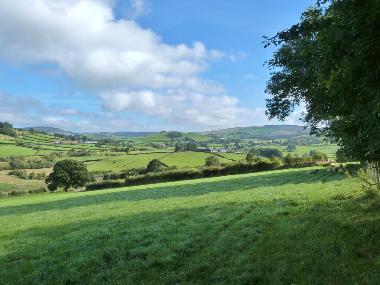 The stratification system | Cynhyrchu Cig